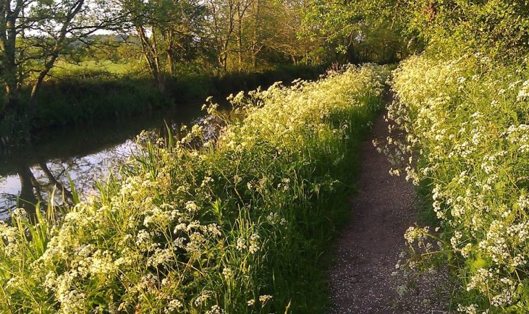 May seasonal food, nature, farming and outdoor activities