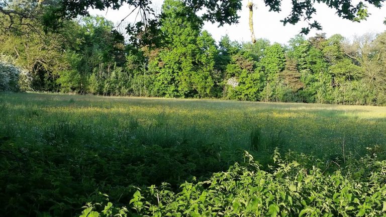 May seasonal food, nature, farming and outdoor activities