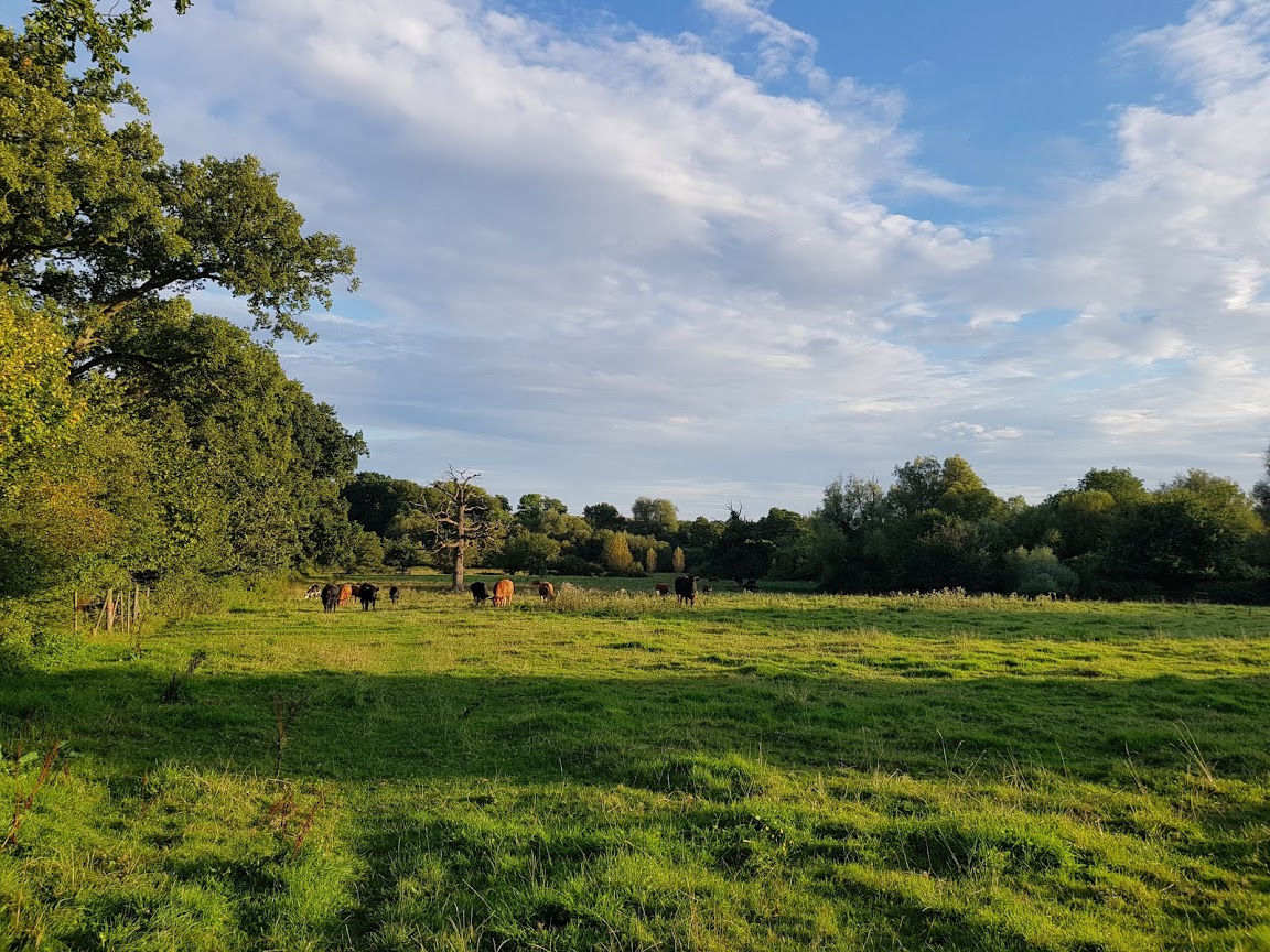 September seasonal events and outdoor activities - Alans Almanac